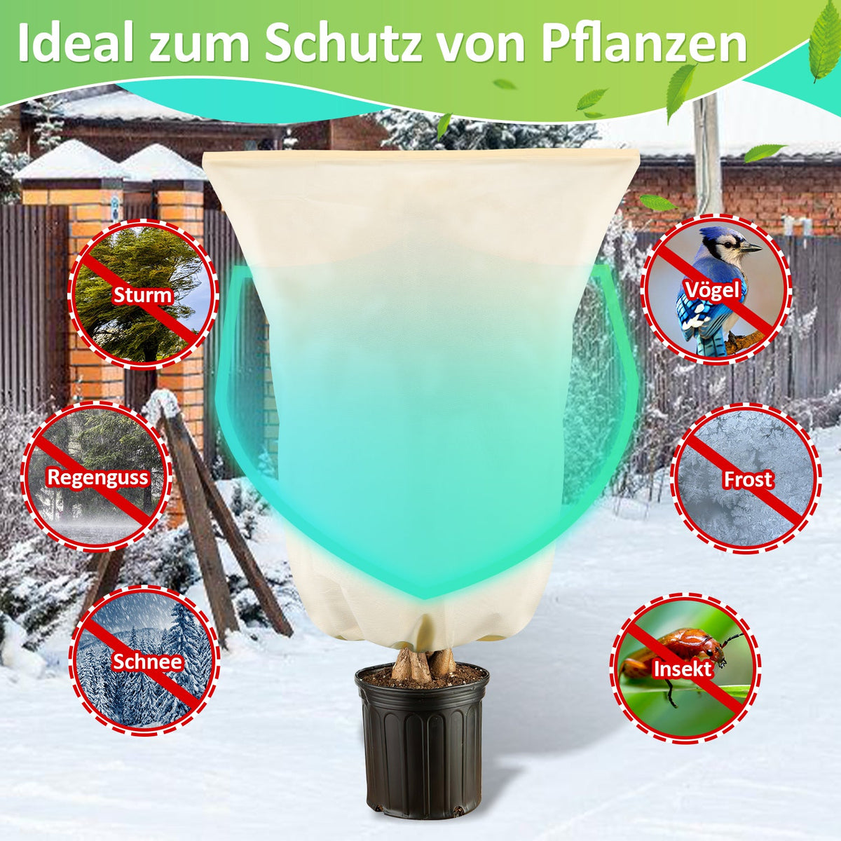 BMOT Pflanzenfrostschutz Winterschutz 100g/㎡ – BMOT Tool